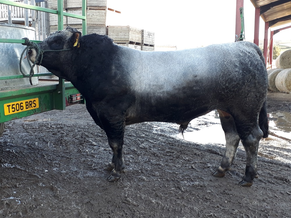 20181101_144405 – Gascon Cattle Society