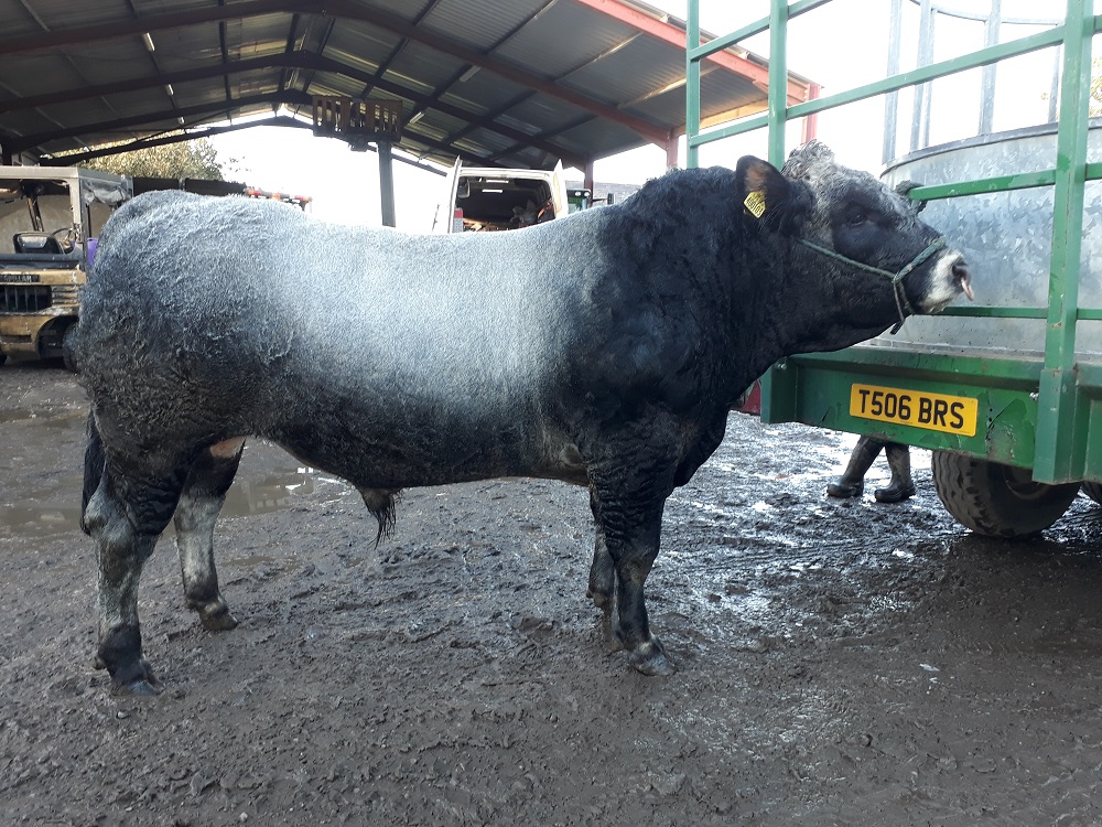 20181101_144856 – Gascon Cattle Society